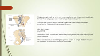 Pelvic fracture basic | PPT