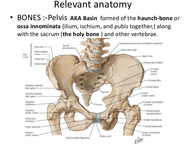 Pelvic fractures