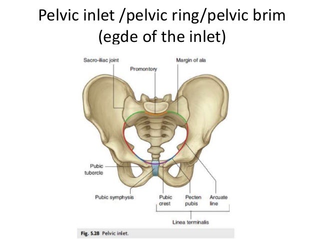 Pelvic fractures