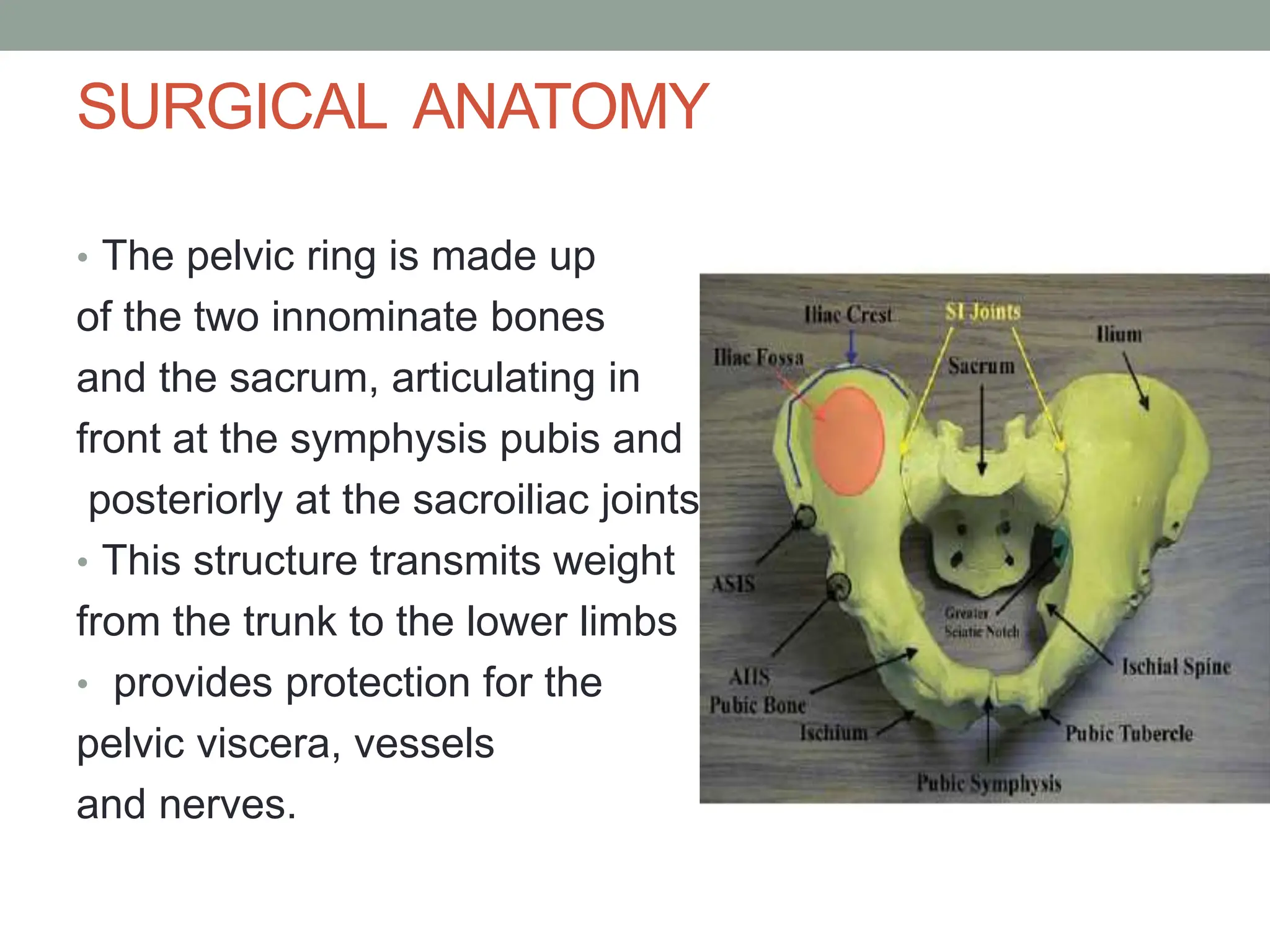 pelvic fractures.pptx