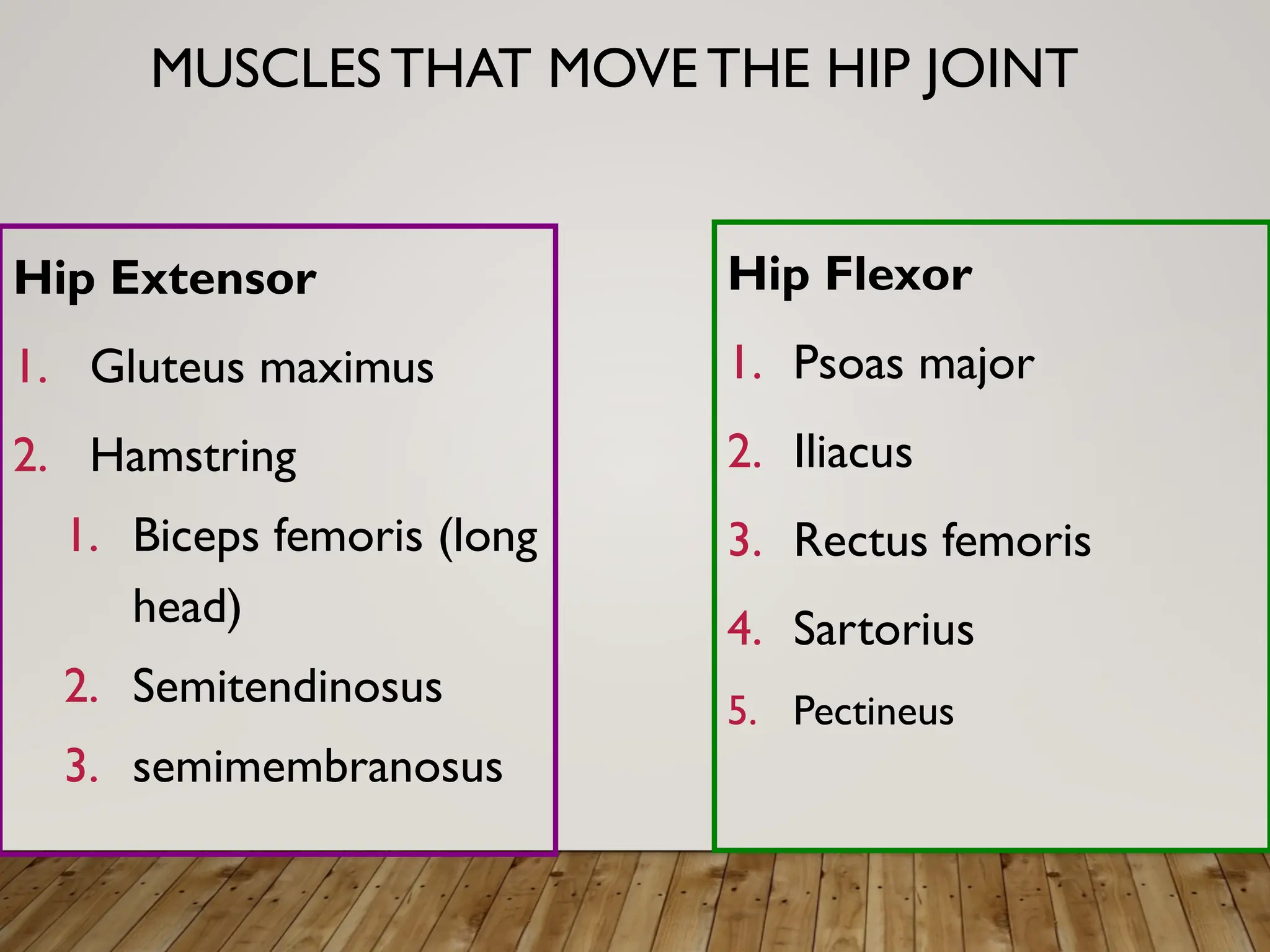 pelvic girdle and hip joints of lower limb | PPTX