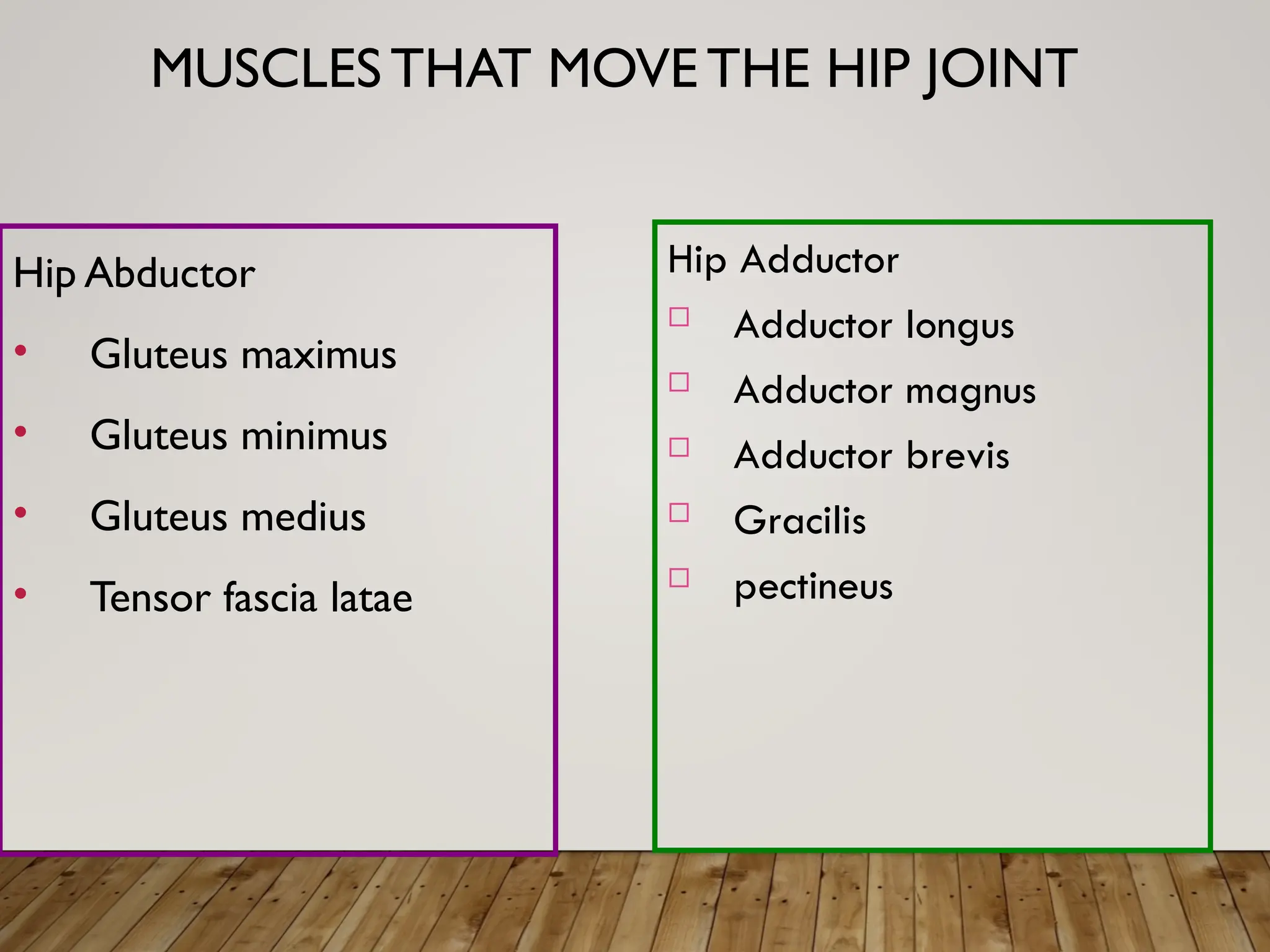 pelvic girdle and hip joints of lower limb | PPTX