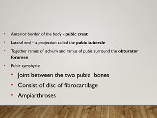 pelvic girdle and hip joints of lower limb | PPTX