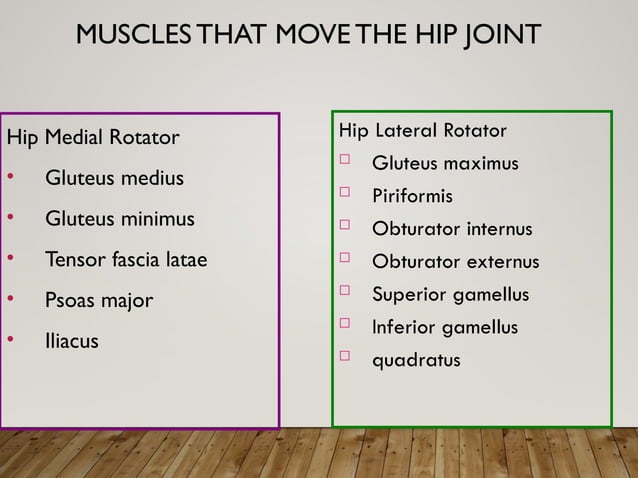 pelvic girdle and hip joints of lower limb | PPT