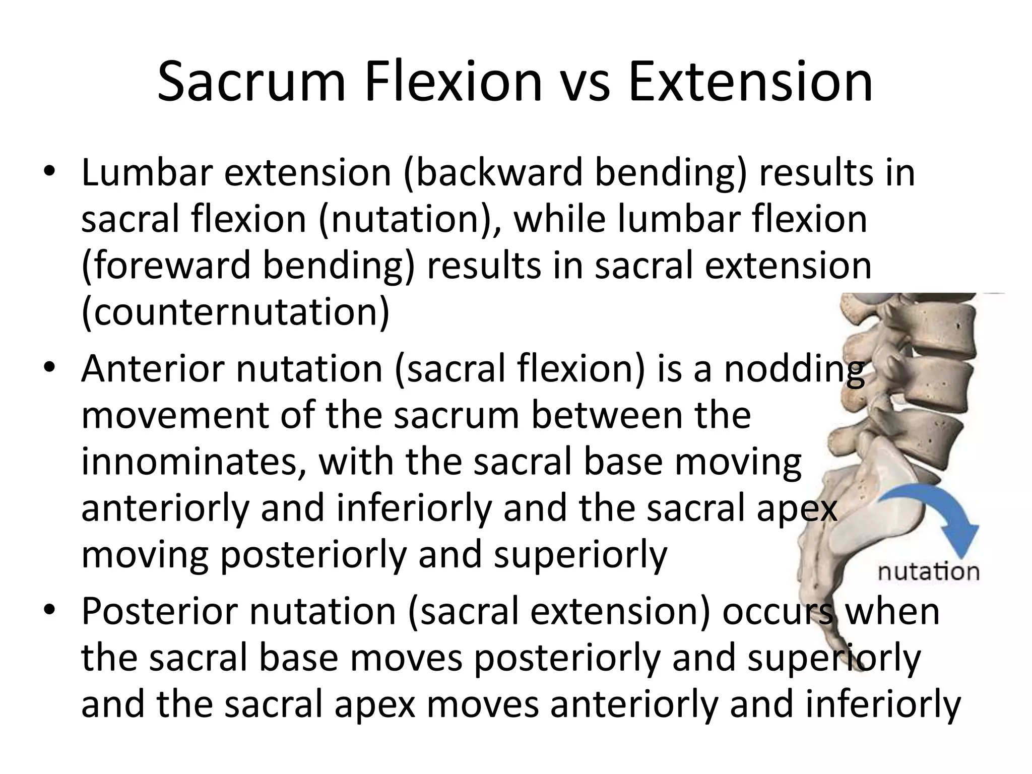 Pelvic, hip knee, Bones, Joints and Muscles | PPTX