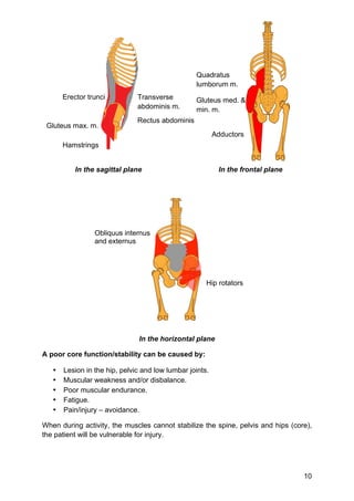 Pelvic, Hip and Core Stability | PDF