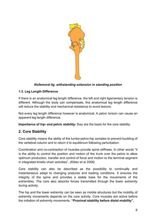 Pelvic, Hip and Core Stability | PDF