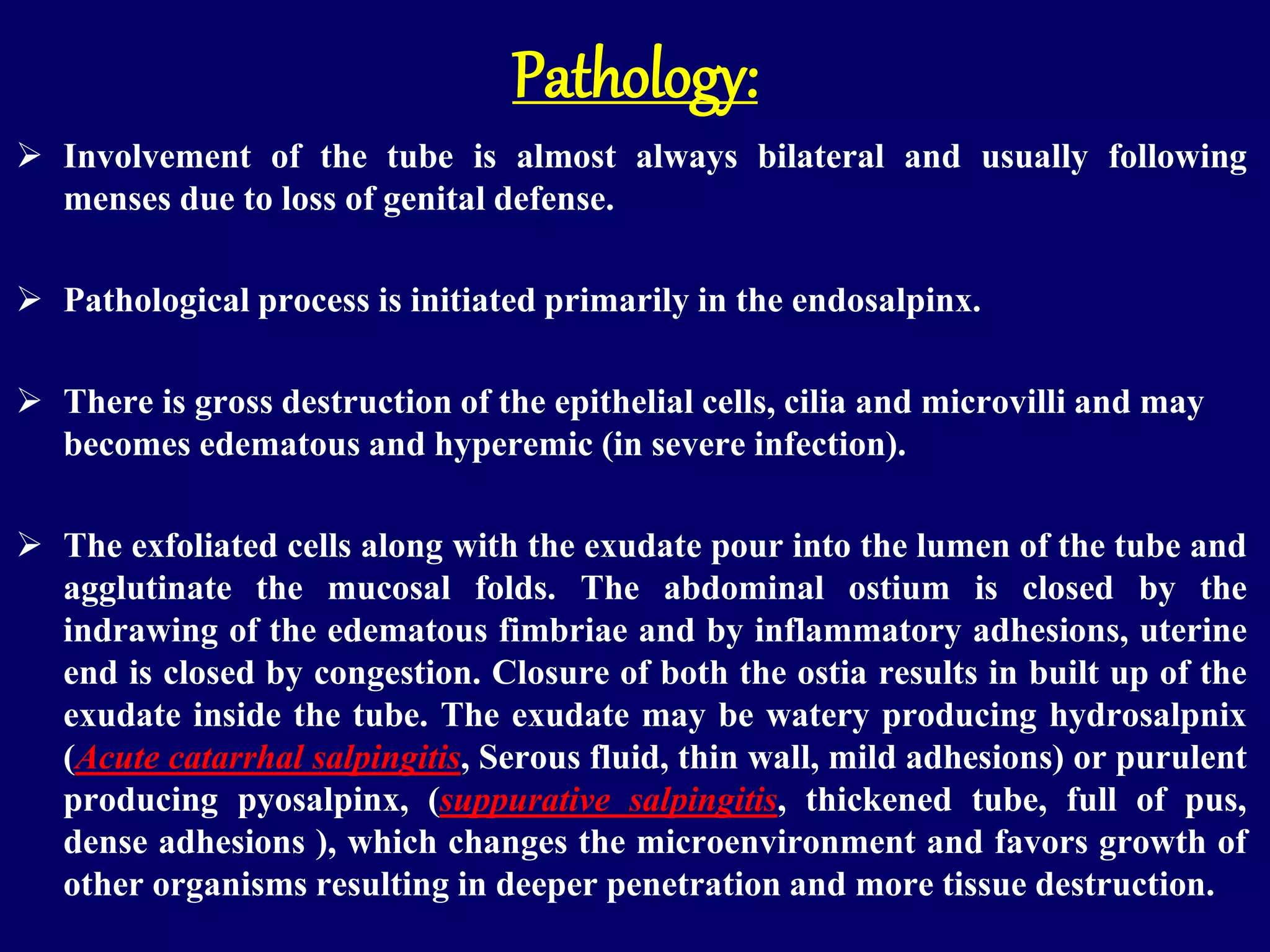 PID lecture by Associate Professor Dr Aisha Elbareg | PDF