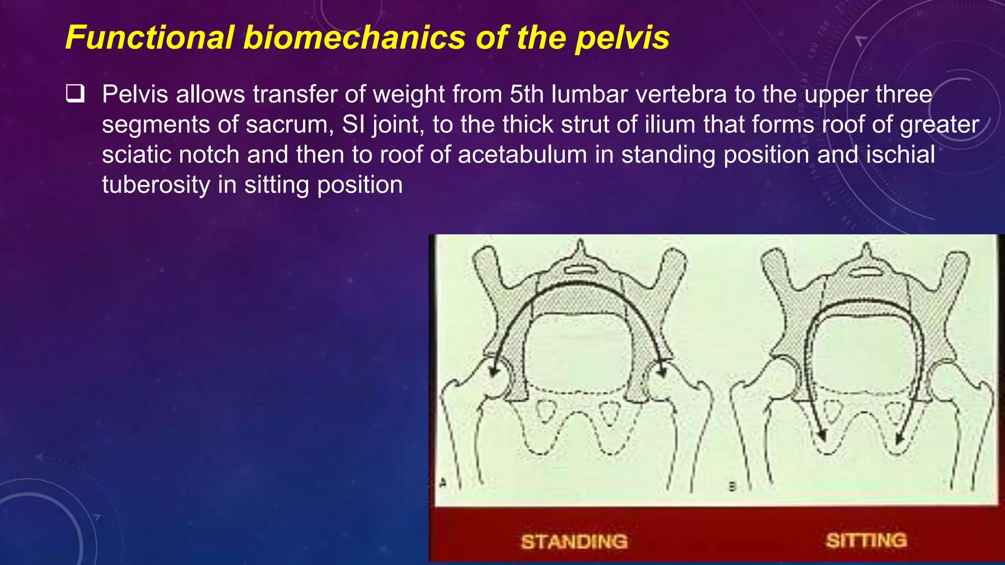 Pelvic injuries and associated injuries | PPTX