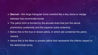 Pelvic injuries and associated injuries | PPTX