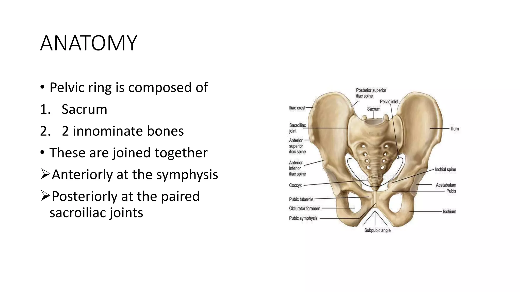 Pelvic injuries | PPTX