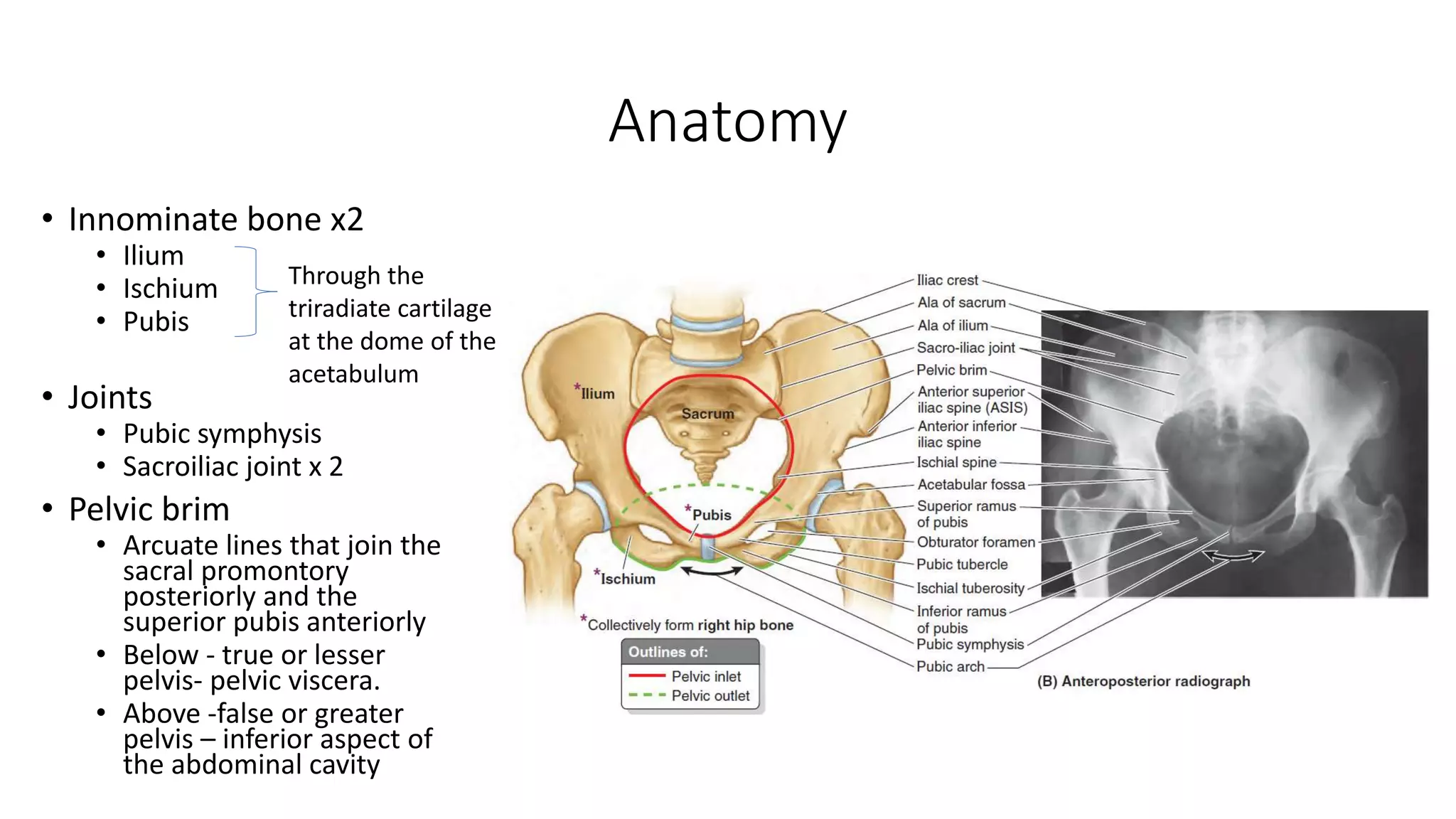Pelvic injuries for MBBS (undergraduate medical education) | PPTX