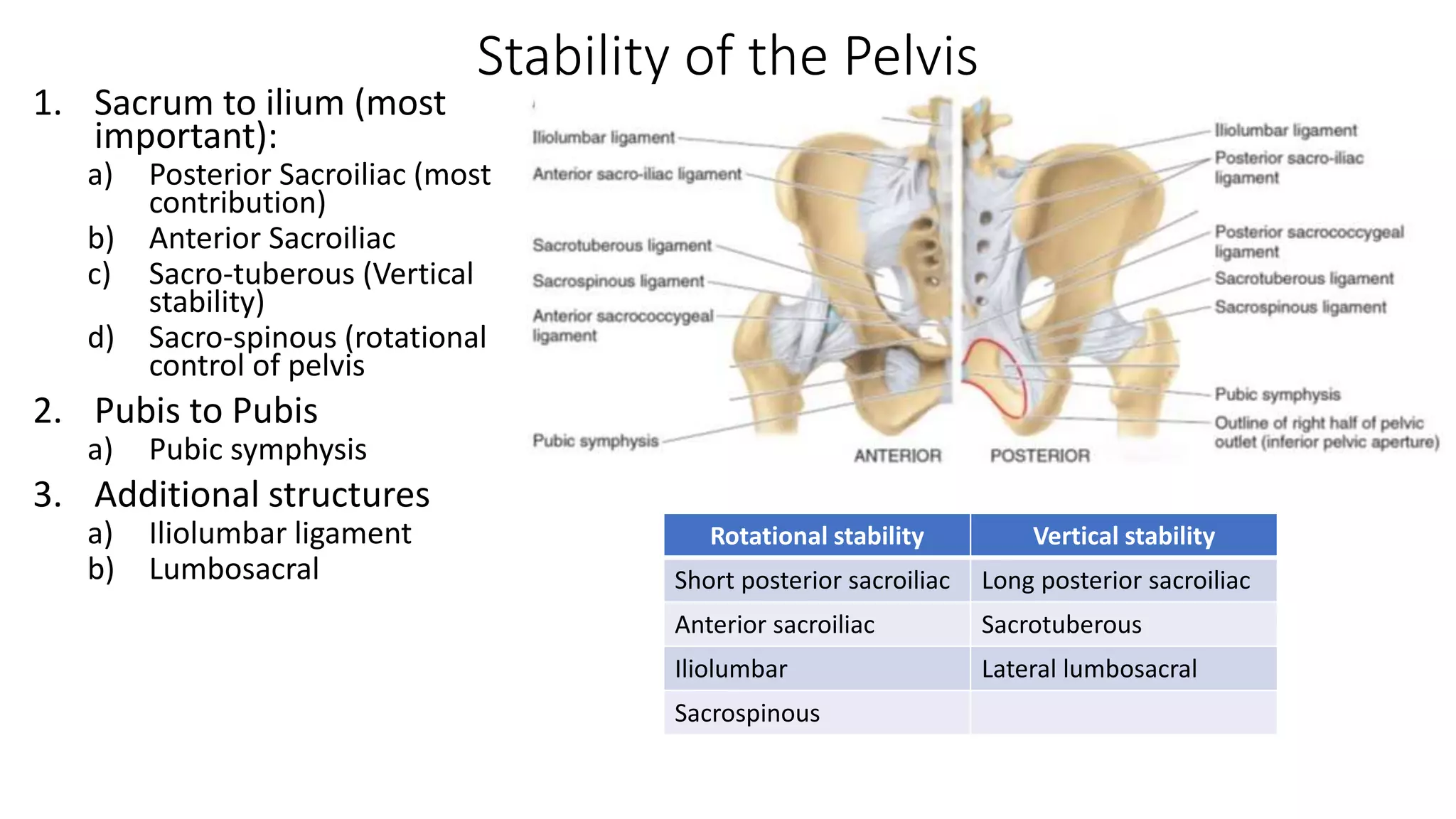 Pelvic injuries for MBBS (undergraduate medical education) | PPTX