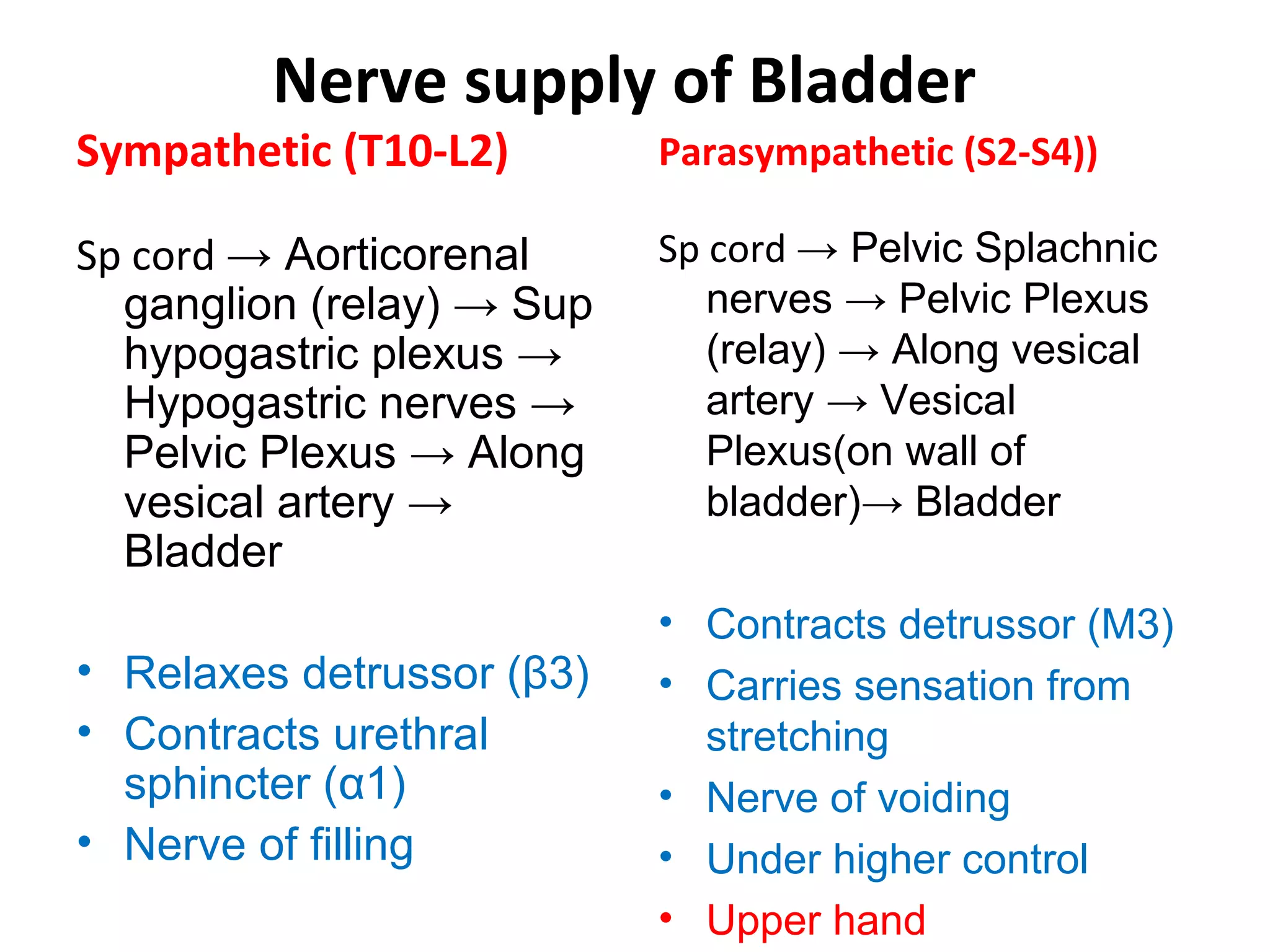Surgical Anatomy of Pelvic nerves | PPT