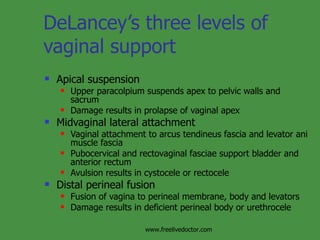Pelvic organ prolapse | PPT