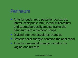 Pelvic organ prolapse | PPT
