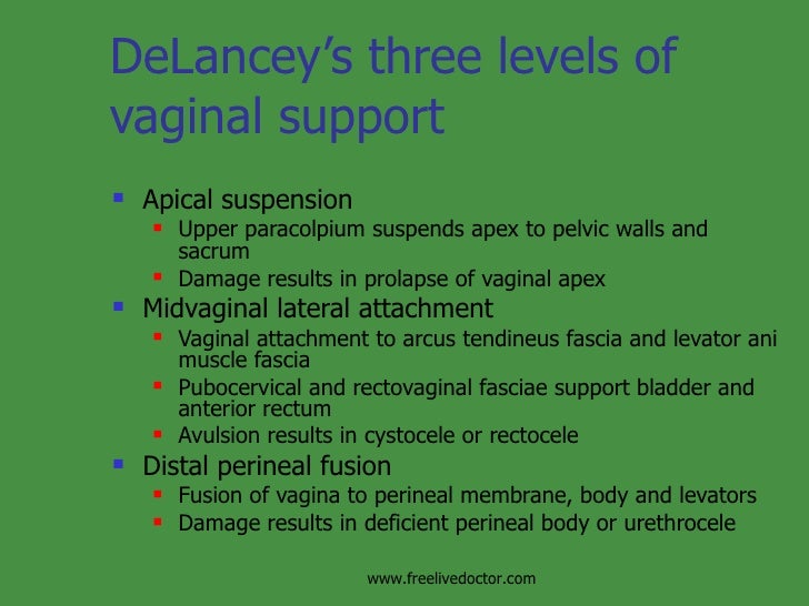 Pelvic organ prolapse