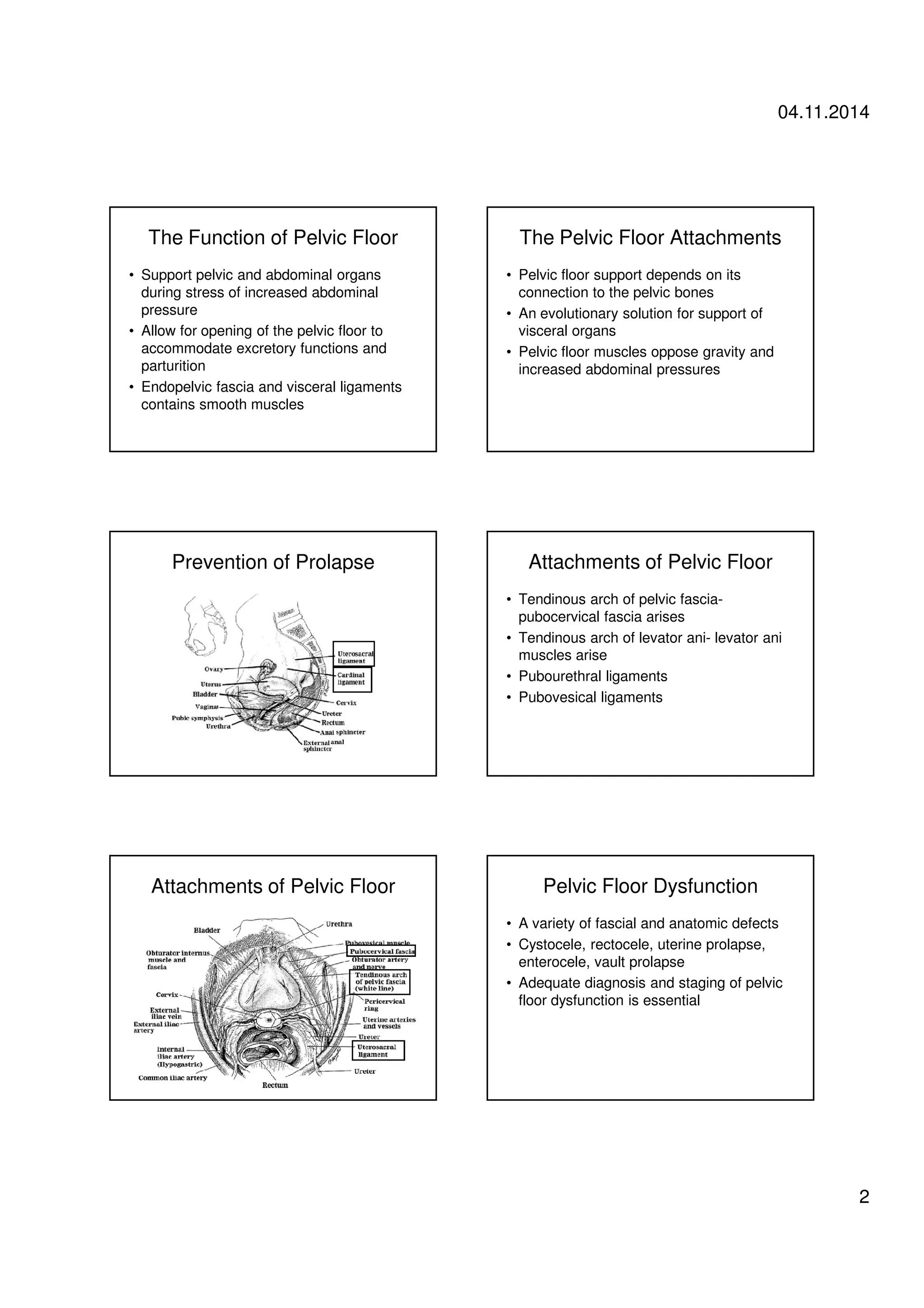 Pelvic organ prolapse - Diagnosis and treatment | PDF