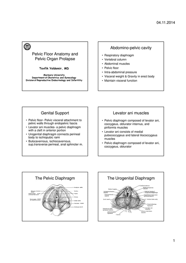 Pelvic organ prolapse - Diagnosis and treatment | PDF | Reproductive ...
