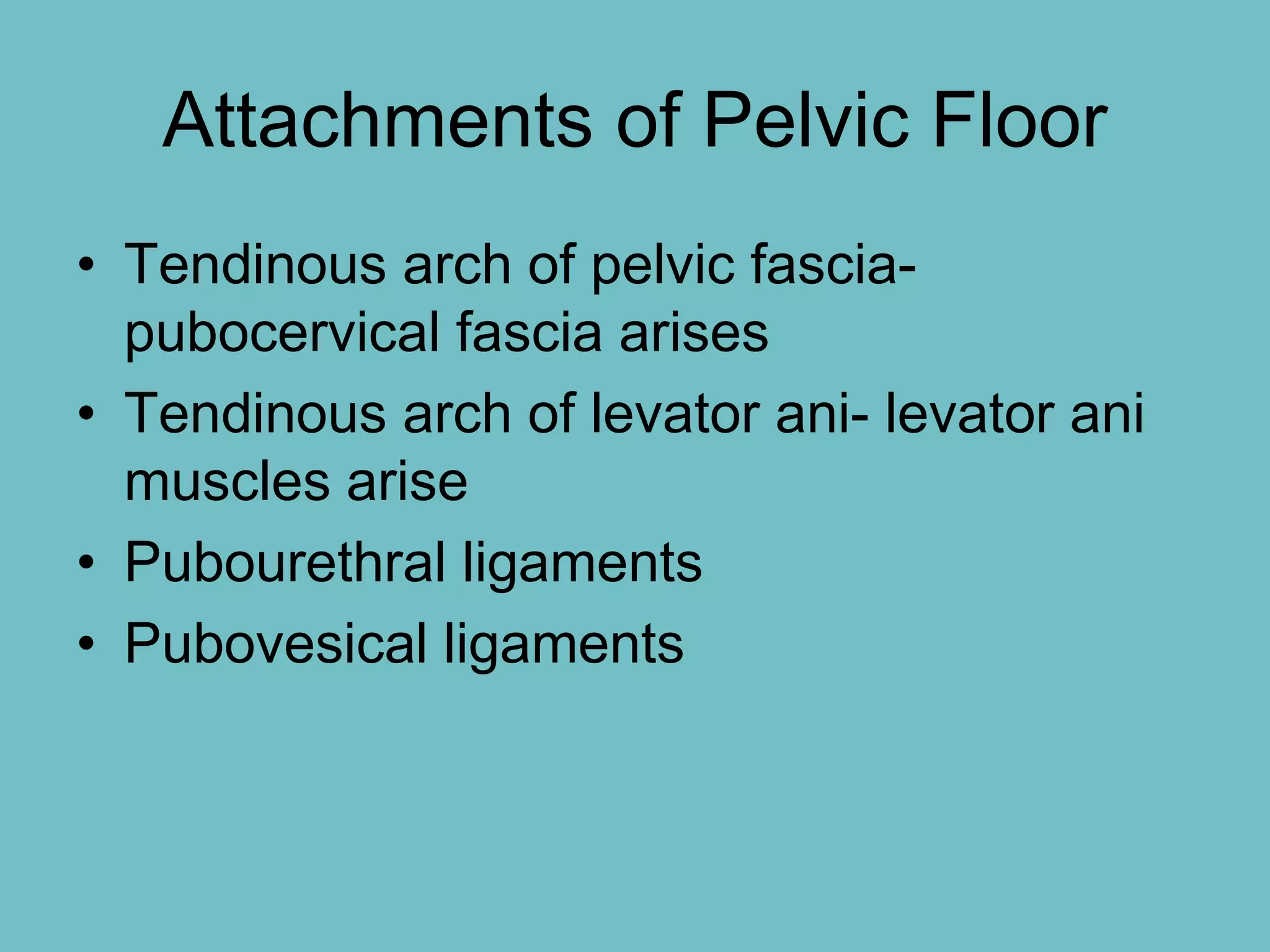 Pelvic organ prolapse | PPT