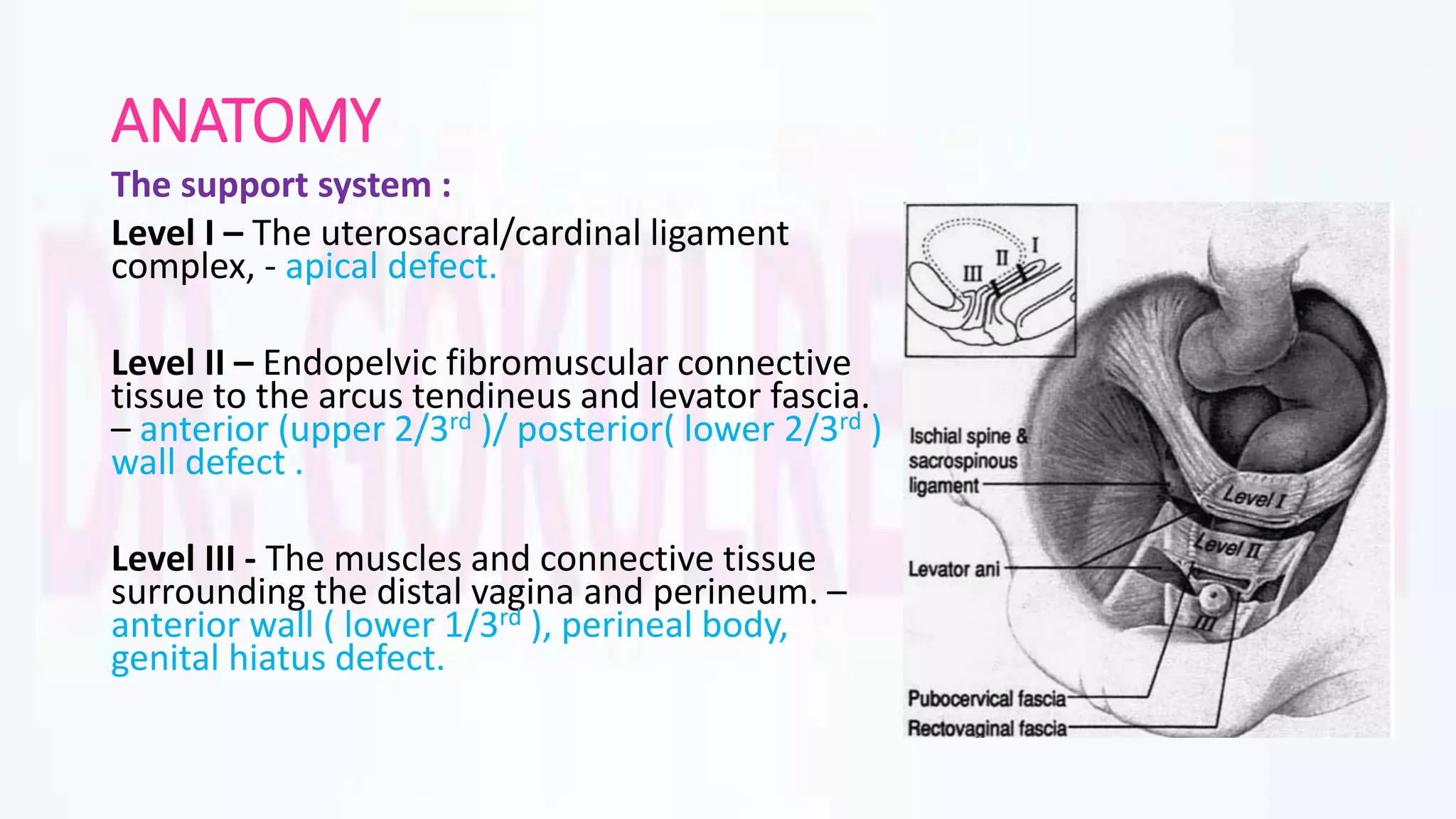 Pelvic organ prolapse | PPTX
