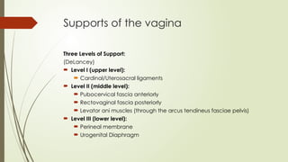 Pelvic organ prolase.gghhhhhhhhhhhjjjjjpptx | PPT