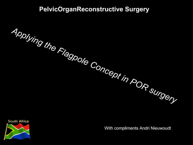 PelvicOrganReconstructive Surgery | PPT