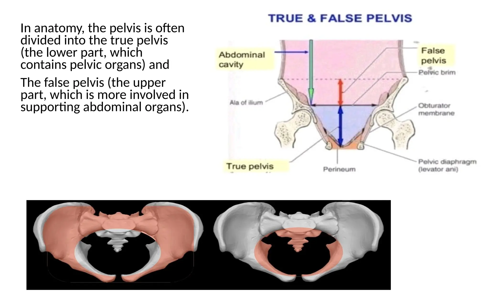 PELVIC LYMPH NODES TARGET DELINEATION Dr Syed Aman.pptx