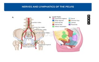 PELVIC LYMPH NODES TARGET DELINEATION Dr Syed Aman.pptx