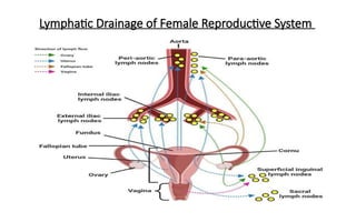 PELVIC LYMPH NODES TARGET DELINEATION Dr Syed Aman.pptx
