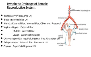 PELVIC LYMPH NODES TARGET DELINEATION Dr Syed Aman.pptx