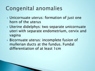 PELVIC PATHOLOGIES.pptx