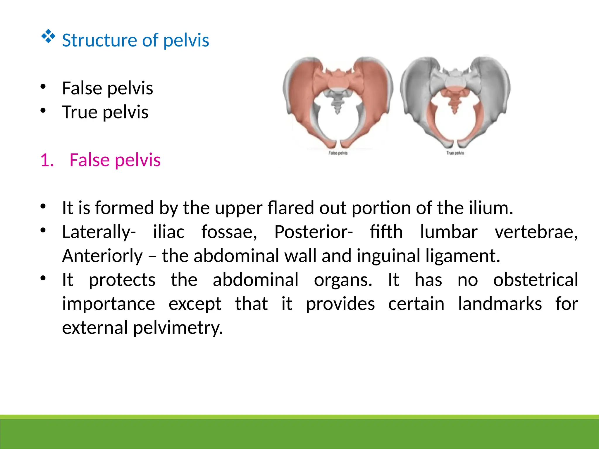 Pelvic Details Pelvic Introduction, Function, Bones with different sub ...