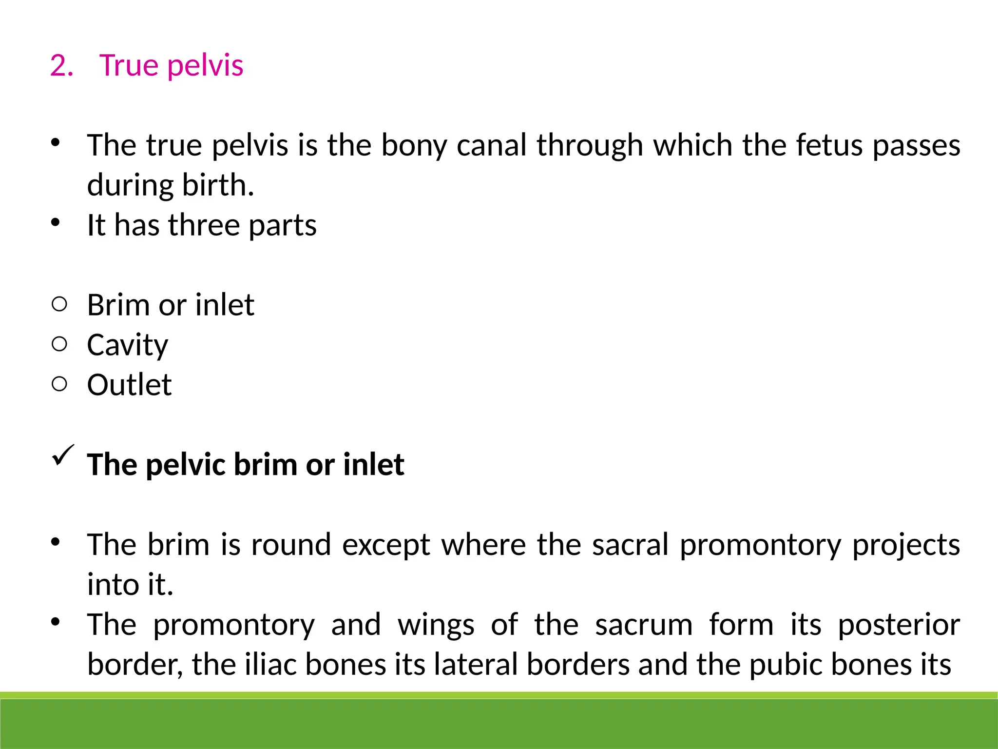 Pelvic Details Pelvic Introduction, Function, Bones with different sub ...