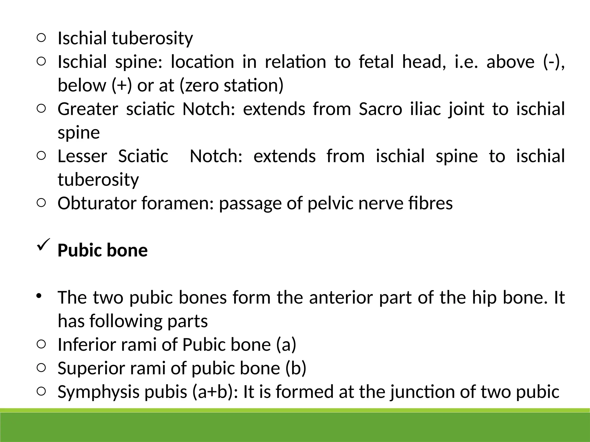 Pelvic Details Pelvic Introduction, Function, Bones with different sub ...
