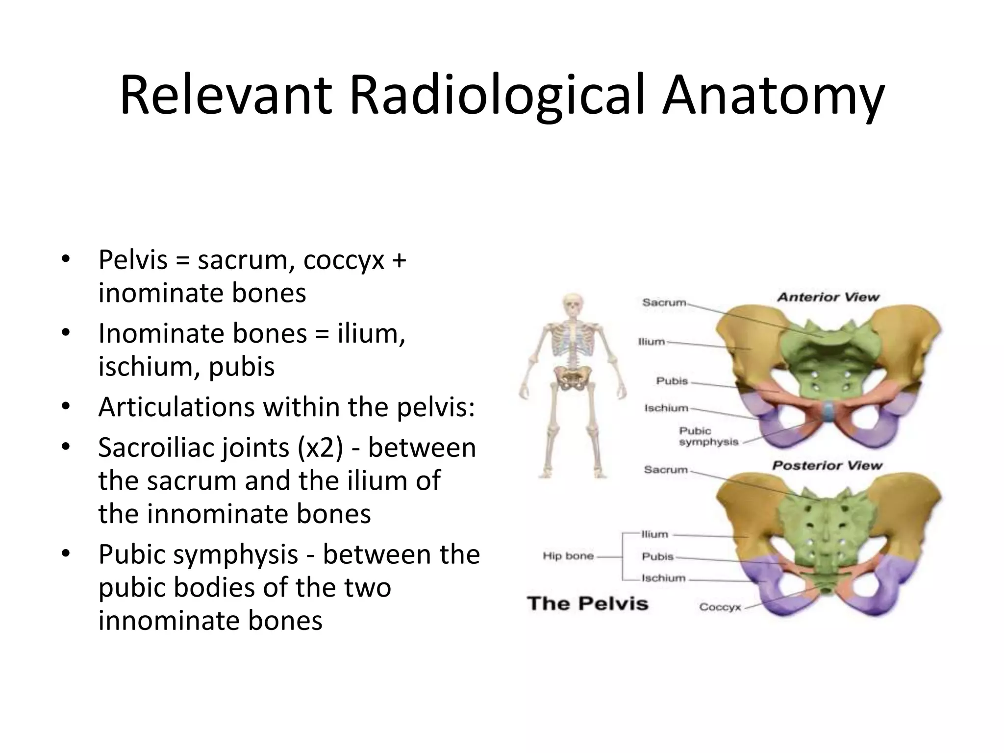 Pelvic radiographs | PPTX