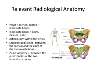 Pelvic radiographs | PPTX
