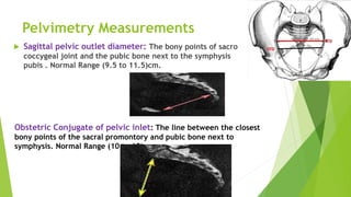 Pelvimetry | PPTX