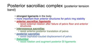 Pelvic ring fractures | PPTX
