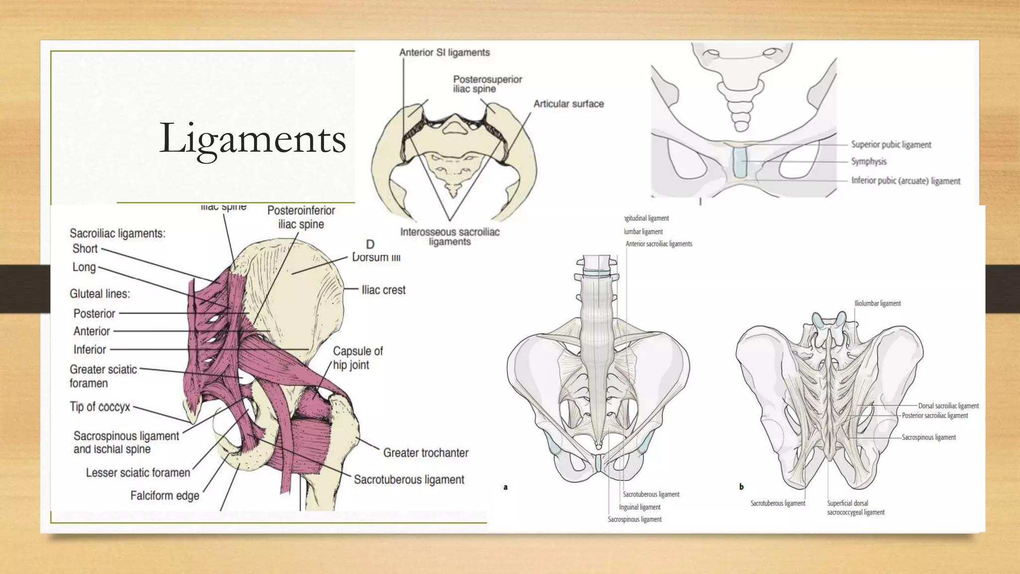 PELVIC RING INJURY | PPTX