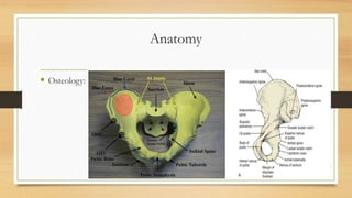 PELVIC RING INJURY | PPTX