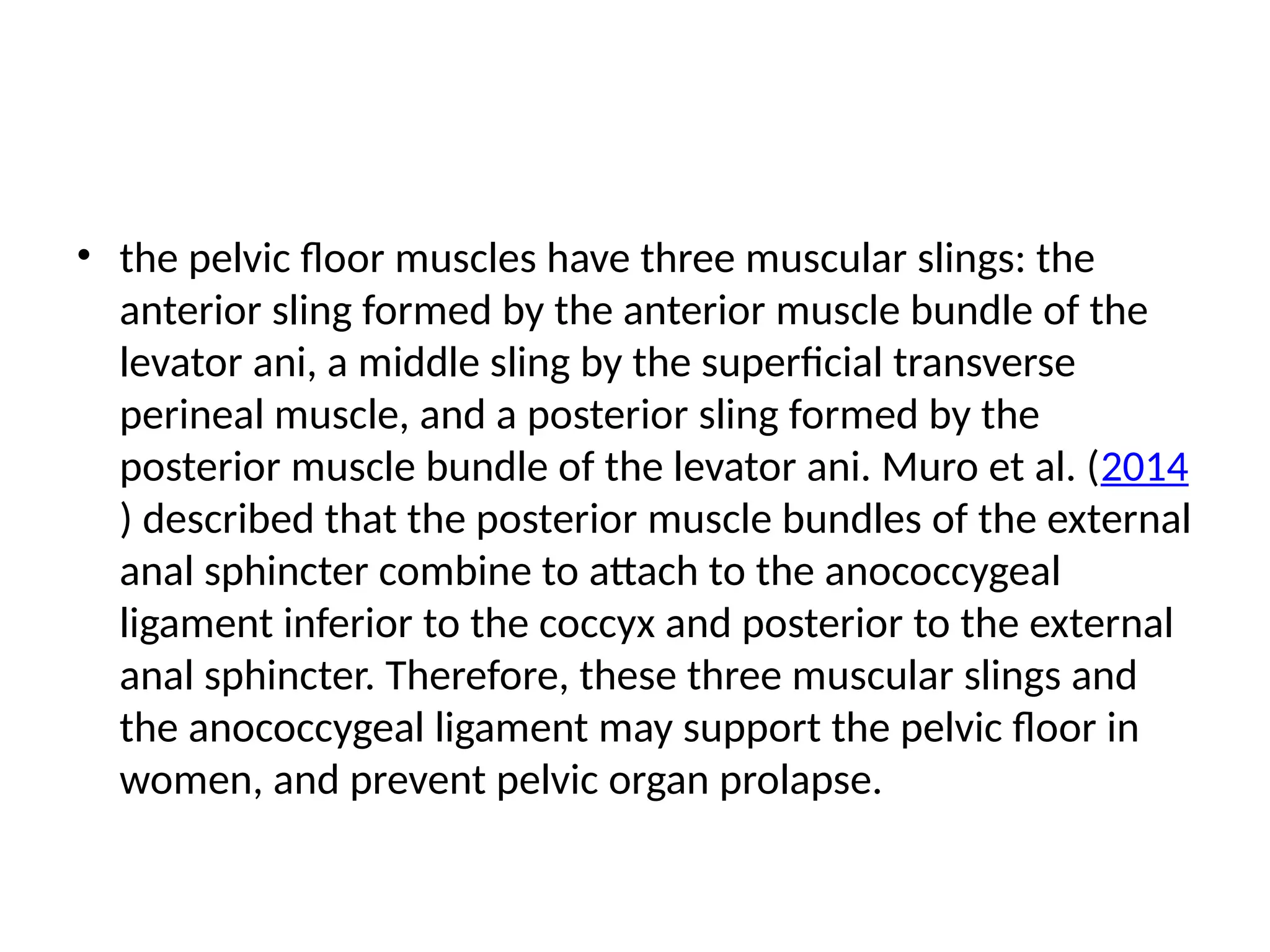 pelvic sling muscles anatomy for normal individuals.pptx