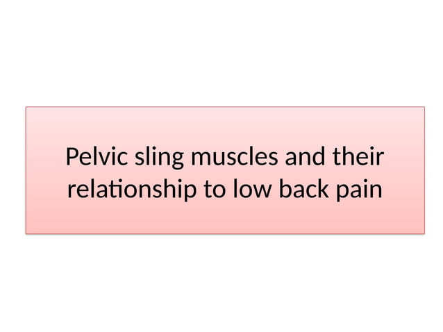 pelvic sling muscles anatomy for normal individuals.pptx