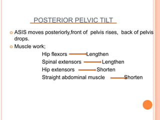 Pelvic tilt | PPTX