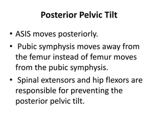 Pelvic tilt | PPTX