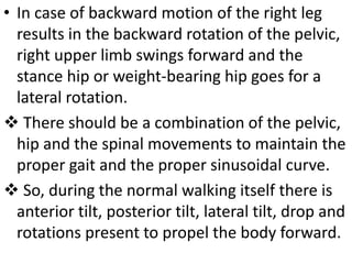 Pelvic tilt | PPTX