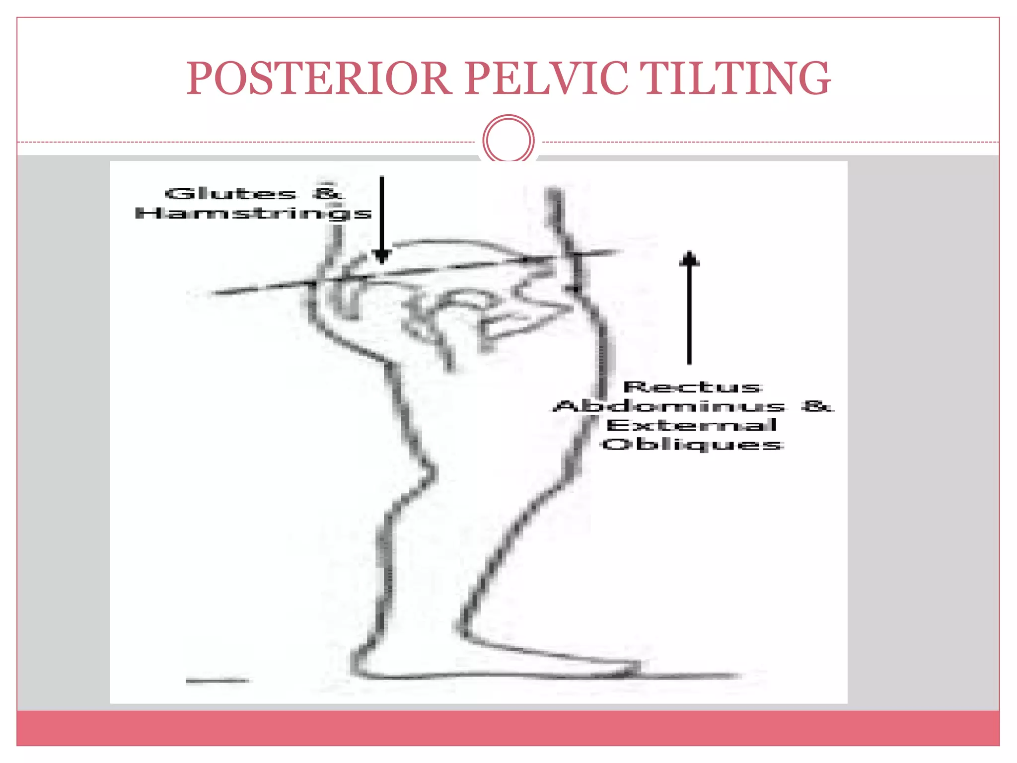 Pelvic Tilt | PPTX