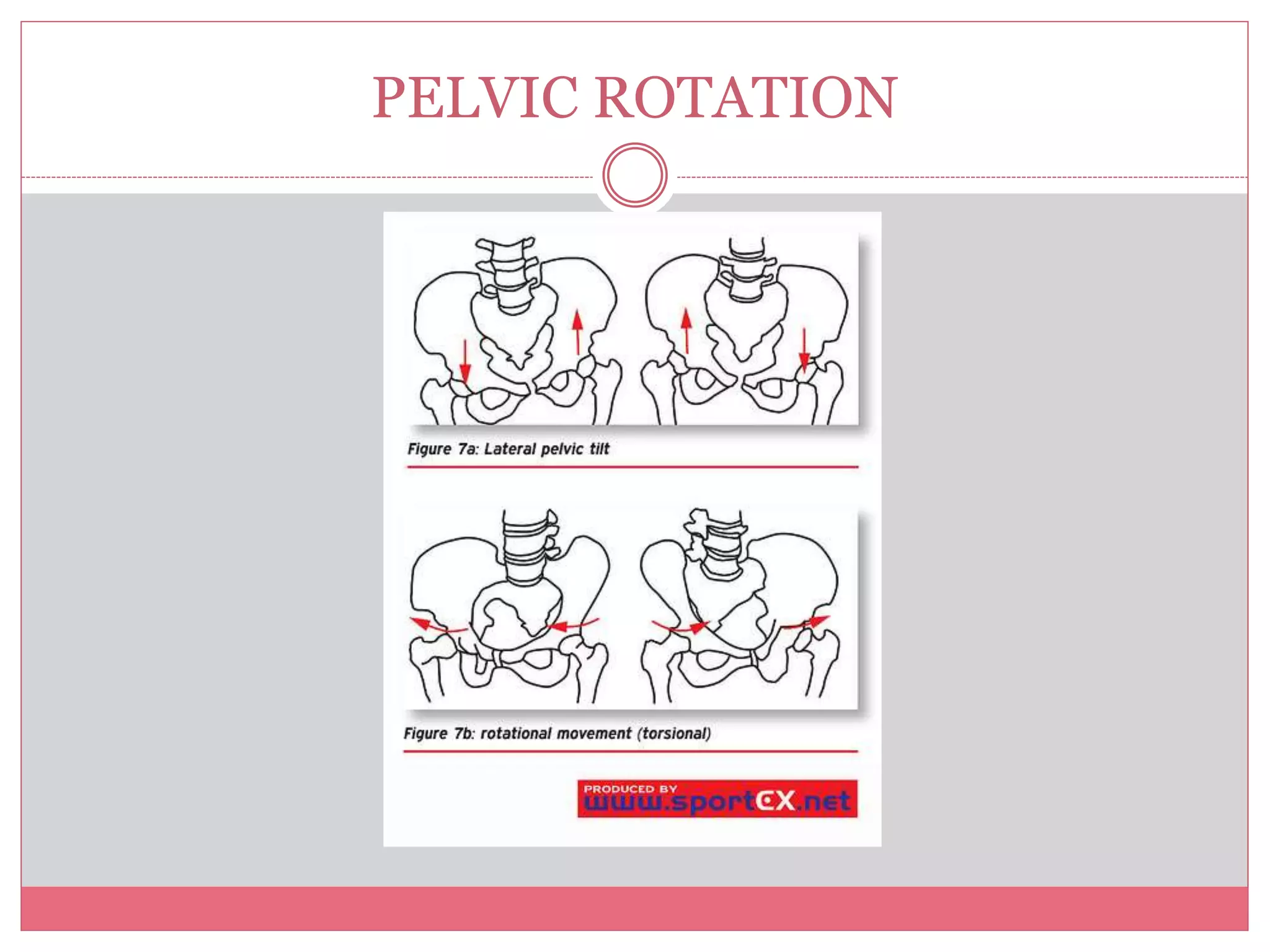 Pelvic Tilt | PPTX