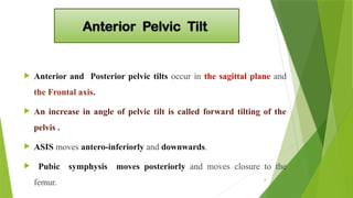 pelvic tilt plus trick movement presentation.pptx