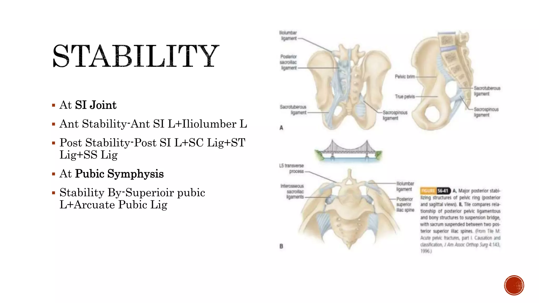 Pelvic trauma | PPTX